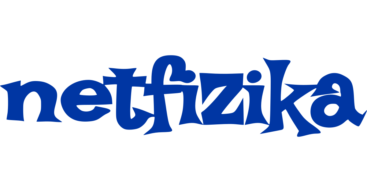 Netfizika